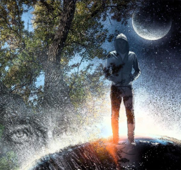 Bill Plotkin’s Soulcraft Musings | Animas Valley Institute