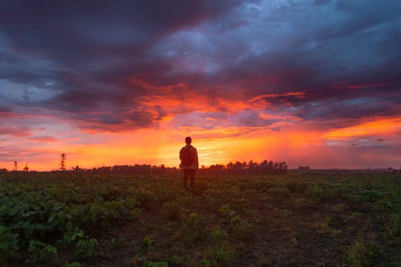 Bill Plotkin’s Soulcraft Musings | Animas Valley Institute