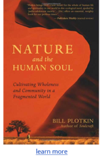 Animas Valley Institute | Nature-Based Soul Initiation