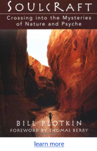 Animas Valley Institute | Nature-Based Soul Initiation
