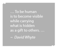 Books by Bill Plotkin | Animas Valley Institute