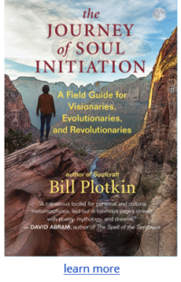 Animas Valley Institute | Nature-Based Soul Initiation